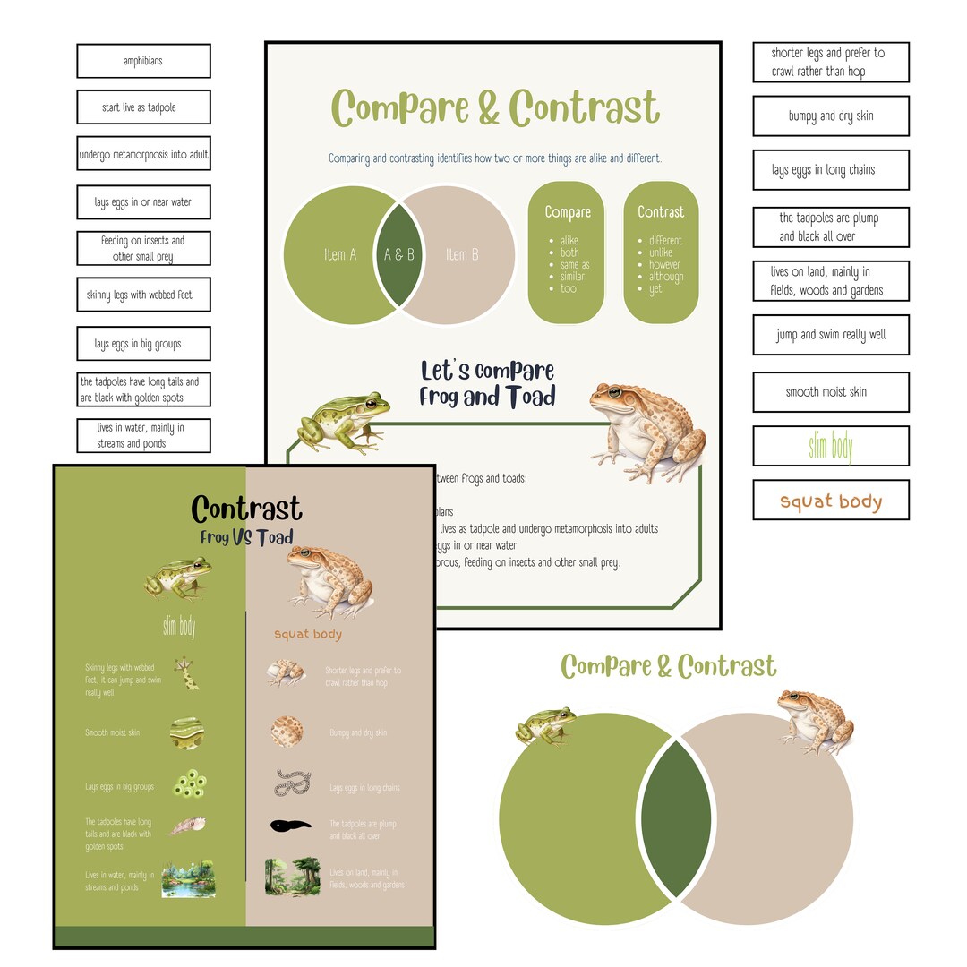 Frog and Toad Compare and Contrast Fun and Interactive Learning Bundle ...