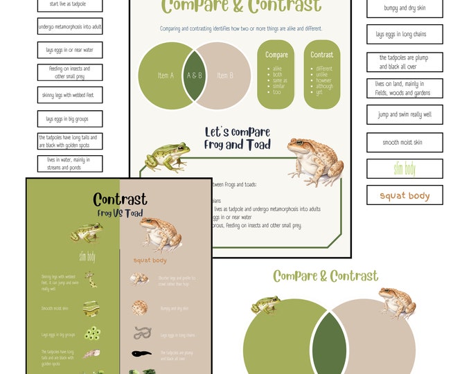Frog and Toad Compare and Contrast Fun and Interactive Learning Bundle ...