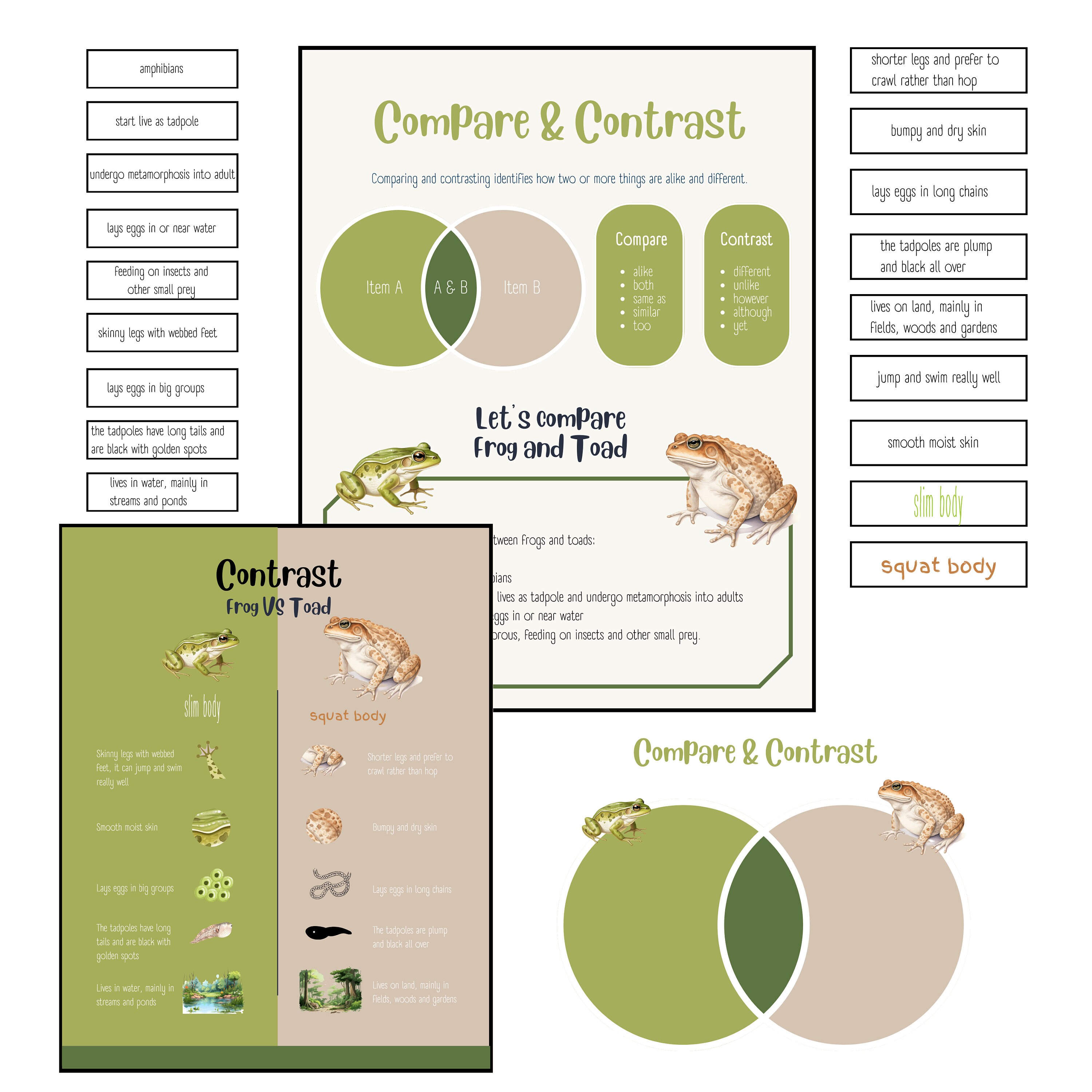 Frog and Toad Compare and Contrast Fun and Interactive Learning Bundle ...