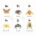 Arthropods A-Z Alphabet Flash Cards Bugs Illustration Artistic ...
