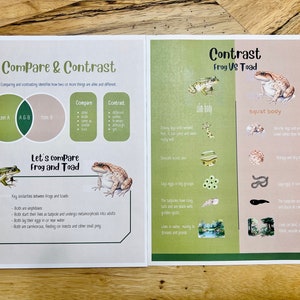 Frog and Toad Compare and Contrast Fun and Interactive Learning Bundle ...