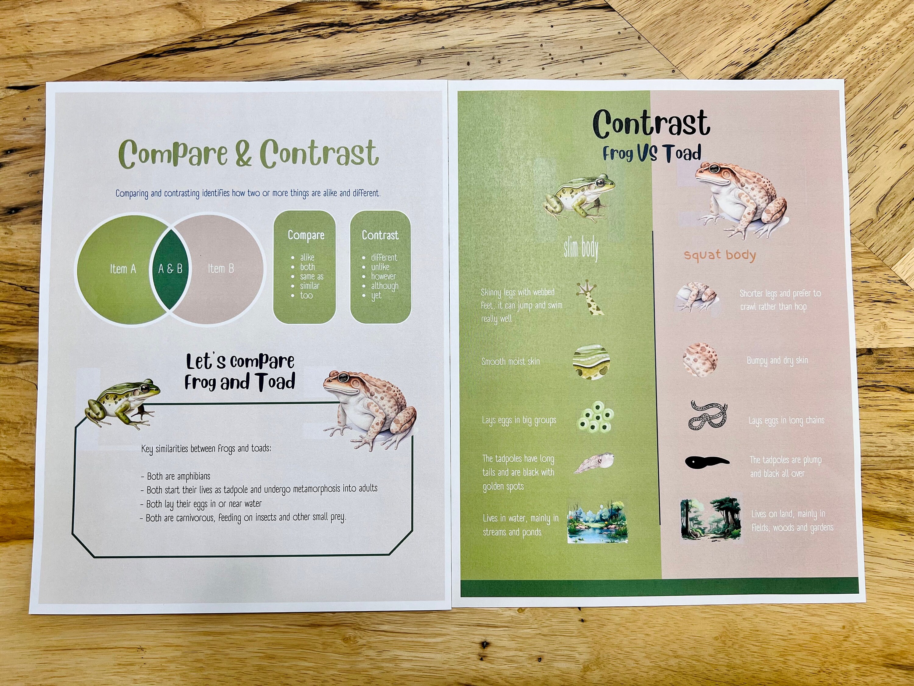Frog and Toad Compare and Contrast Fun and Interactive Learning Bundle ...