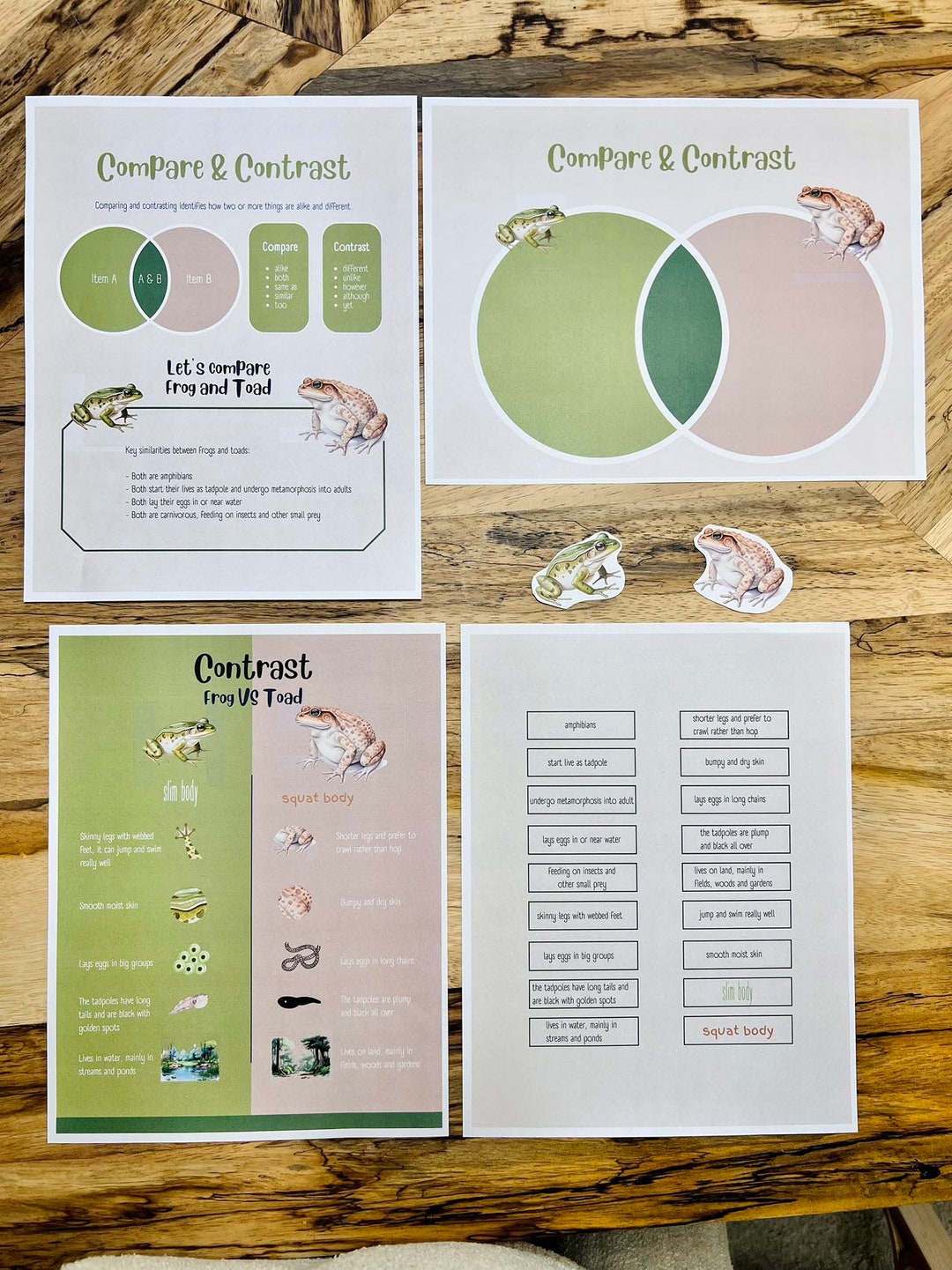 Frog and Toad Compare and Contrast Fun and Interactive Learning Bundle ...