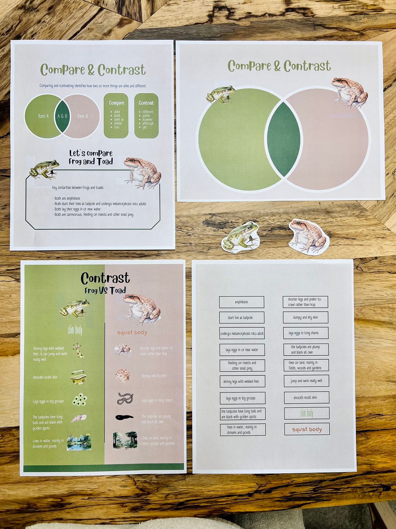 Frog and Toad Compare and Contrast Fun and Interactive Learning Bundle ...