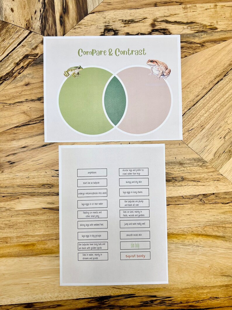 Frog and Toad Compare and Contrast Fun and Interactive Learning Bundle ...