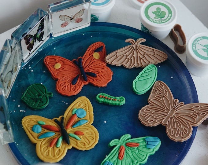 Life Cycle Cutters Set of 8 | Frog, Honeybee, Buttefly, Moth ...