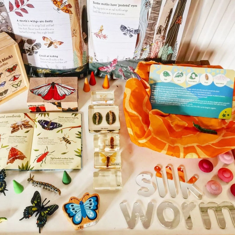 Silkworm Life Cycle Specimen Sensory Play Learning Resource Eggs, Larva ...