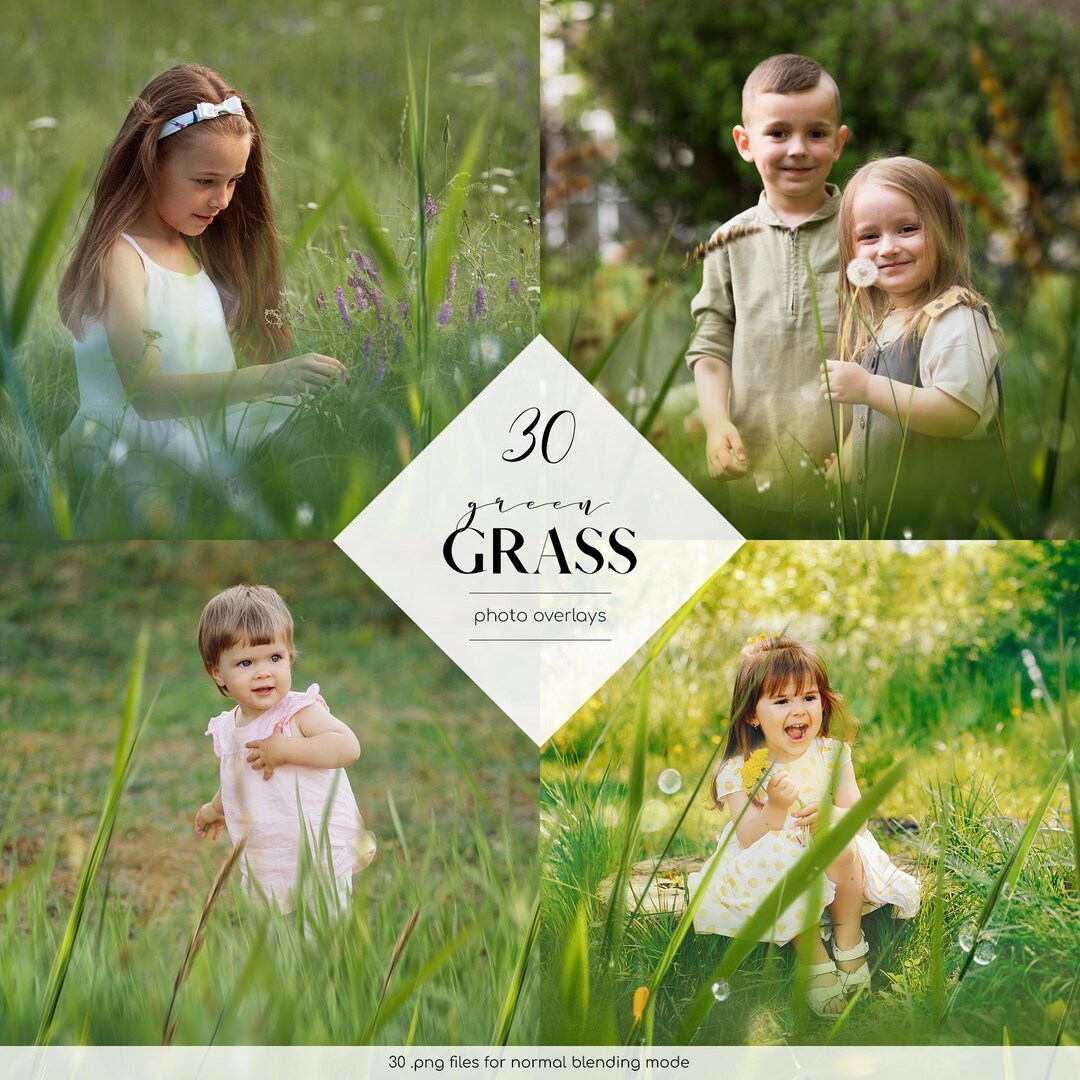 Green Grass Photo Overlays, Summer Grass Clipart, 30 PNG Files, Summer ...