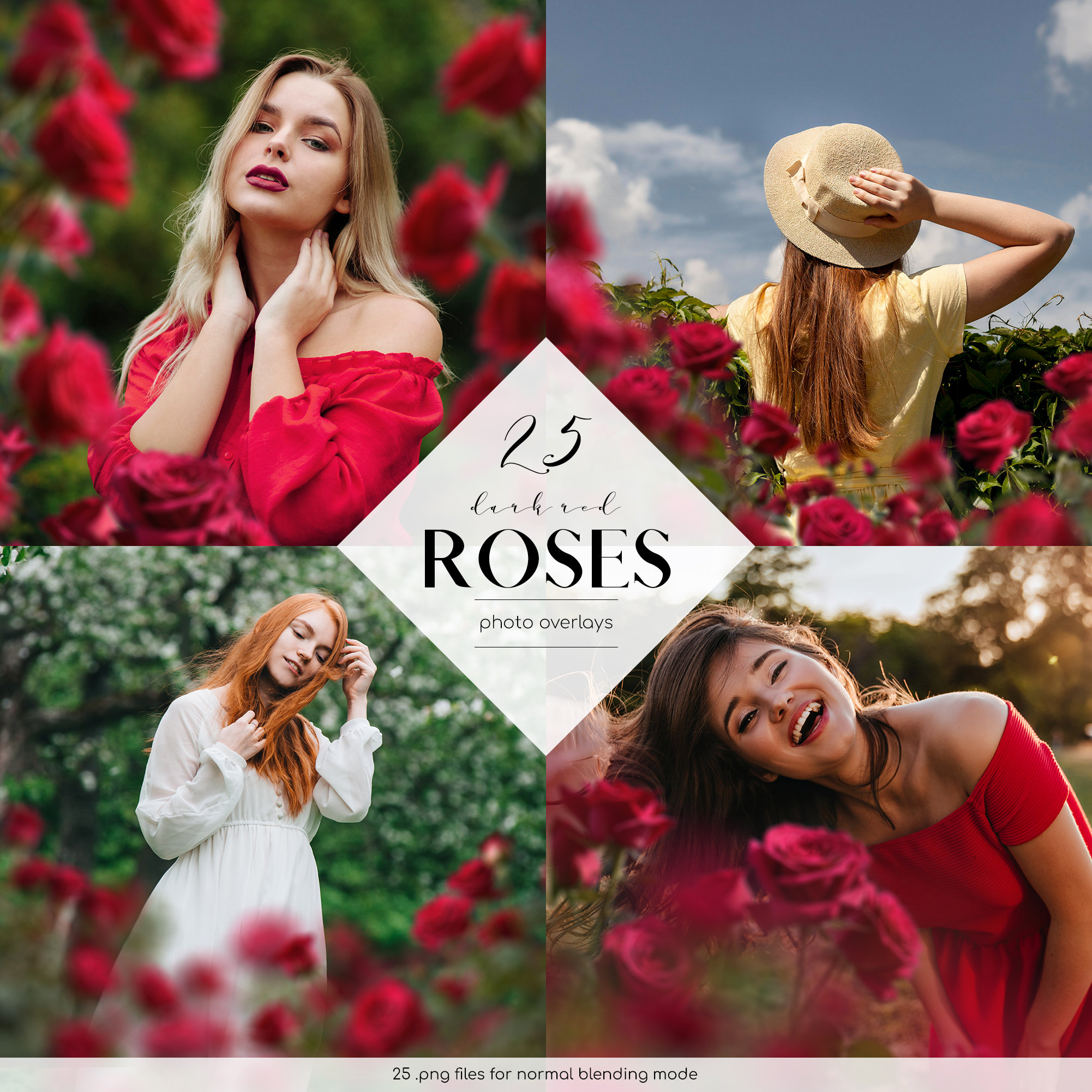 Dark Red Roses Photo Overlays, 25 PNG Files, Red Roses Clipart, Red ...