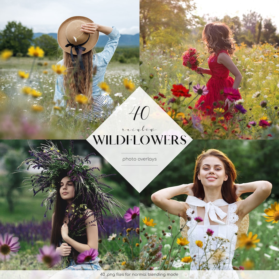 Rainbow Flowers Photo Overlays, Wildflowers Clipart, 40 PNG Files ...