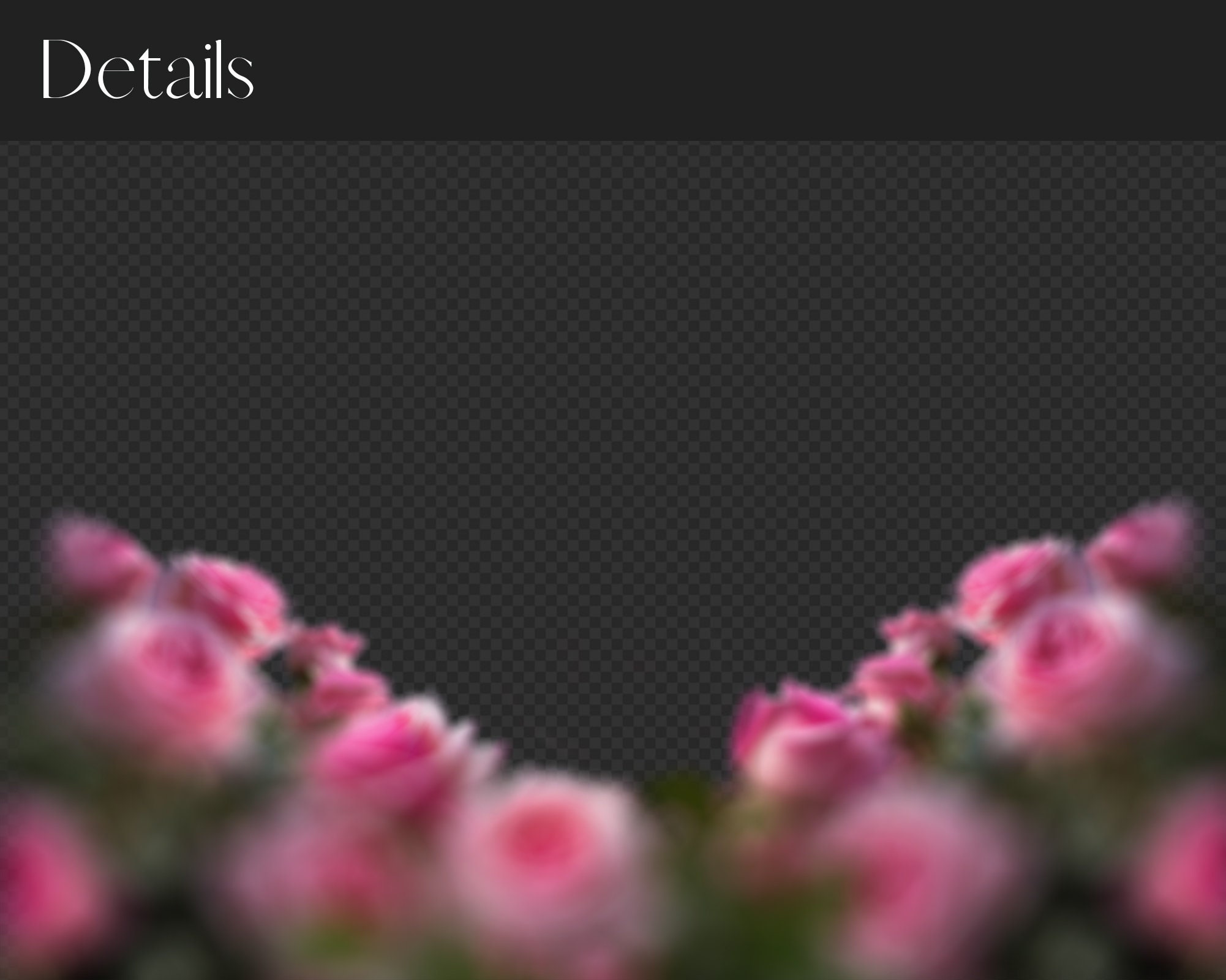 Light Pink Roses Frames Photo Overlays, 30 PNG Files, Pink Roses ...