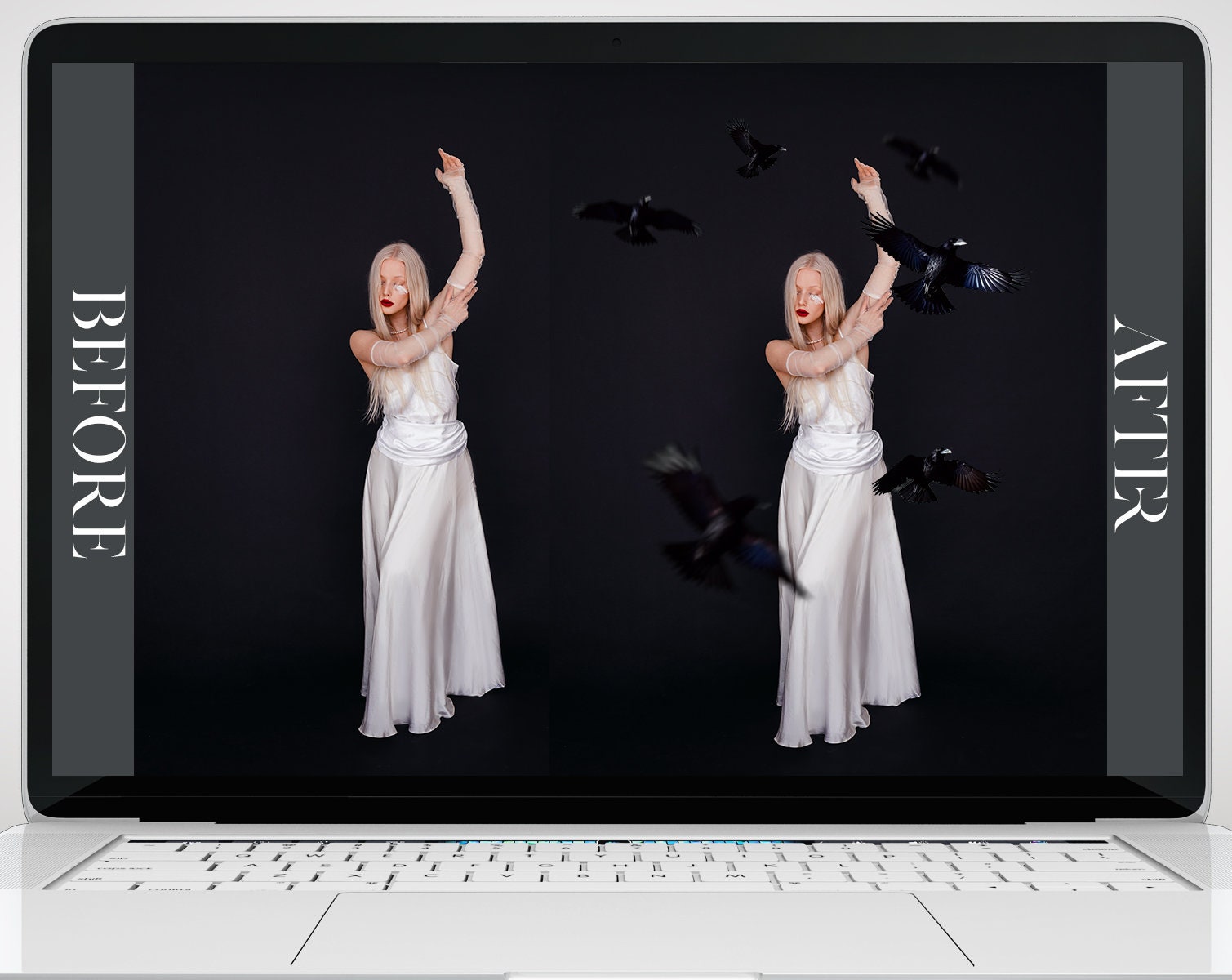 Flying Crows Overlays Clipart, 40 PNG Files, Black Crows Clip Art ...