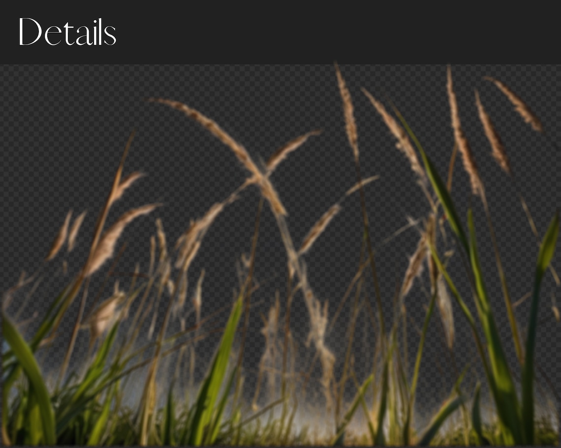 Grass Photo Overlays, Grass Clipart, 25 PNG Files, Summer Photoshop ...
