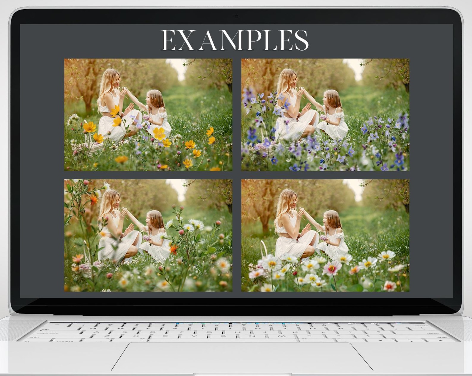 Summer Flowers Photo Overlays: Rainbow Wildflower Clipart (80 PNG Files ...