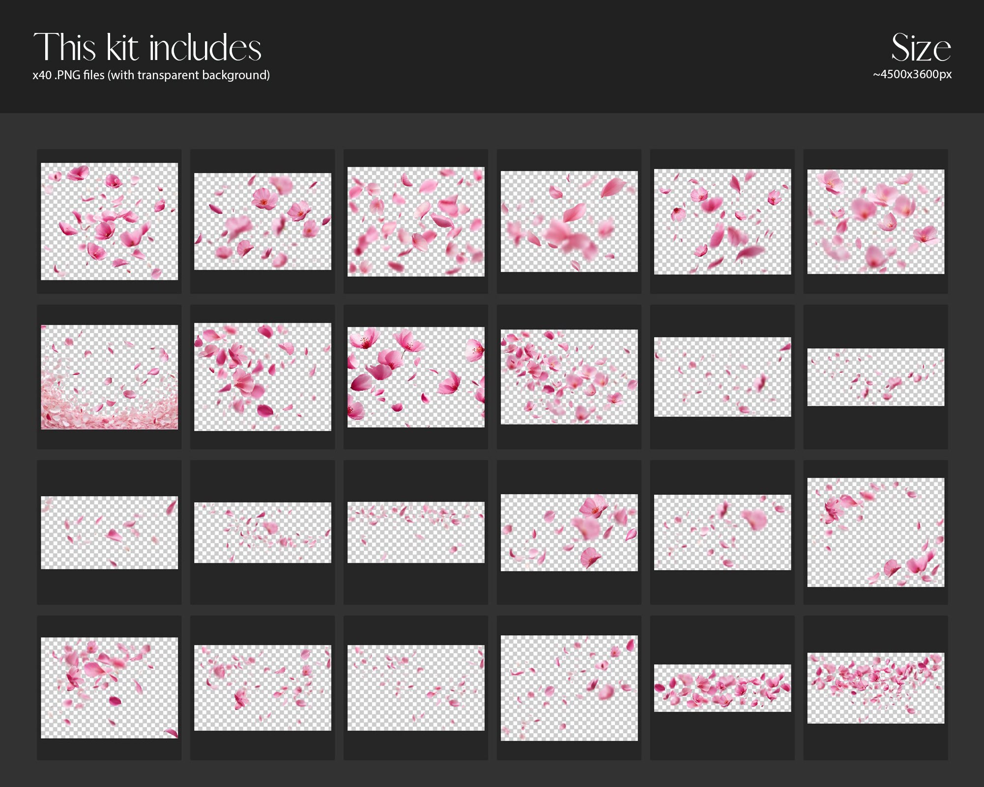 Pink Petals Photo Overlays, 40 PNG Files, Pink Petals Clipart, Pink ...