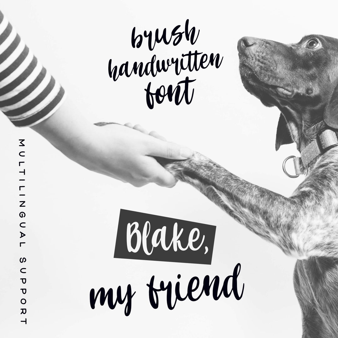 Brush Handwriting Font blake, My Friend, Digital Font, Calligraphy Font ...