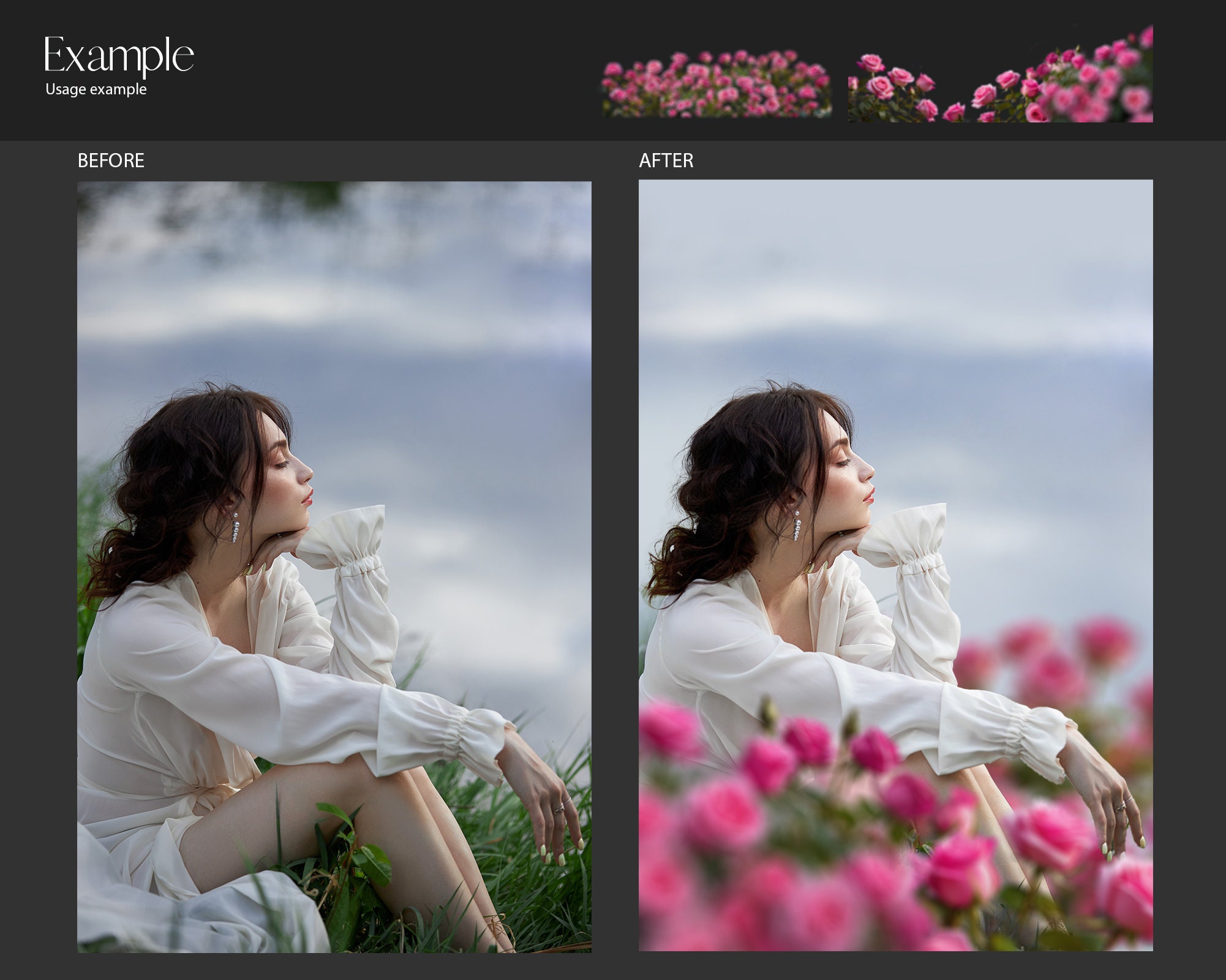 Light Pink Roses Frames Photo Overlays, 30 PNG Files, Pink Roses ...