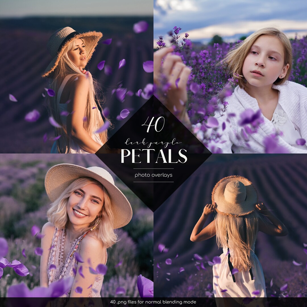 Purple Flowers Photo Overlays, 40 PNG Files, Purple Petals Clipart ...