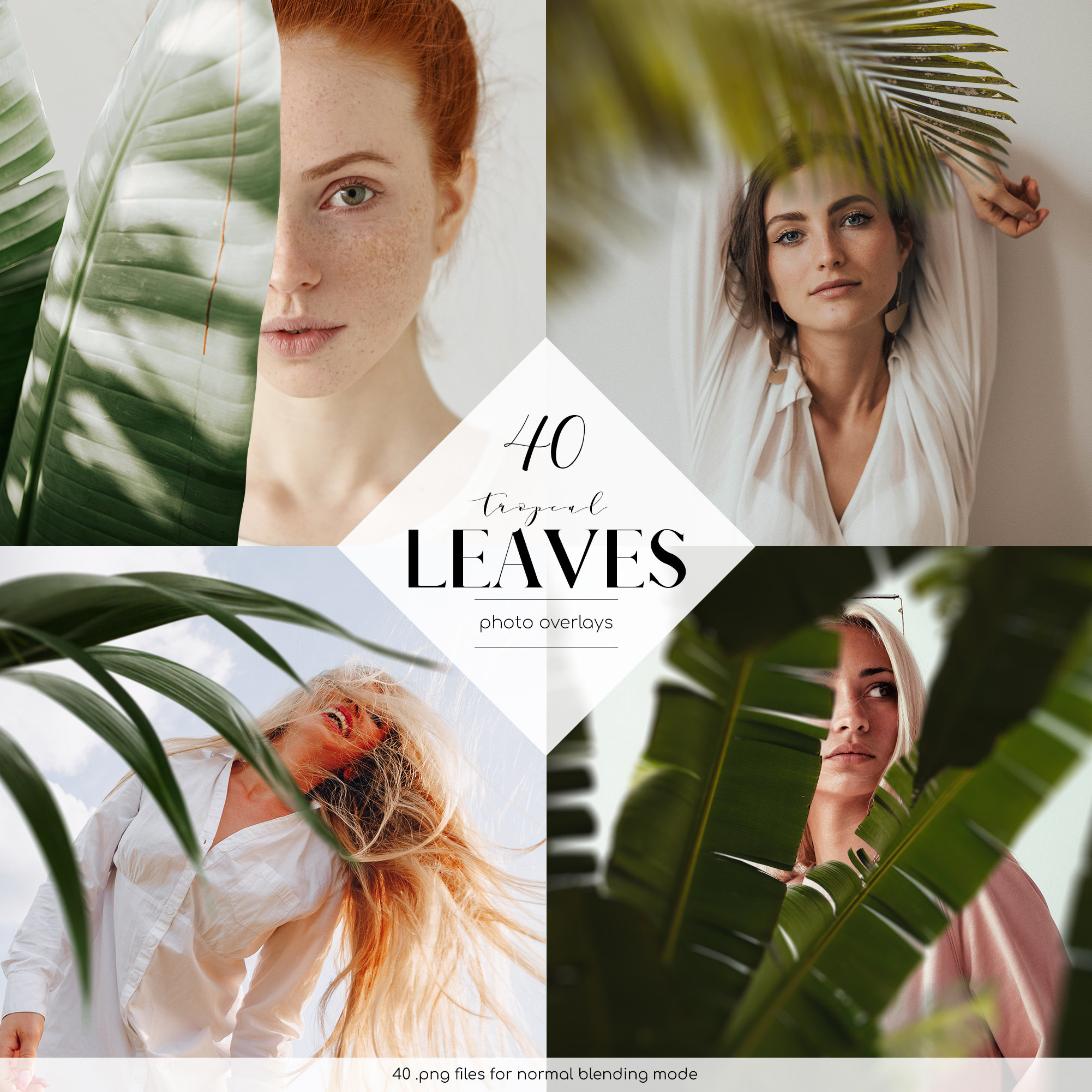 Tropical Leaves Photo Overlays, Plants Clipart, 40 PNG Files, Tropical ...
