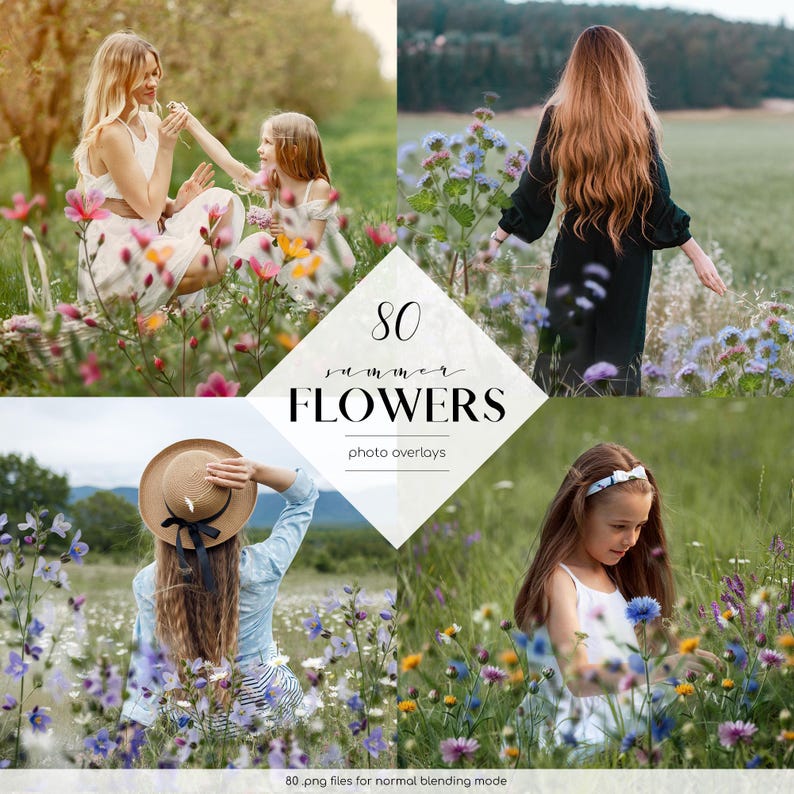 Summer Flowers Photo Overlays, Rainbow Wild Flowers Clipart, 80 PNG ...
