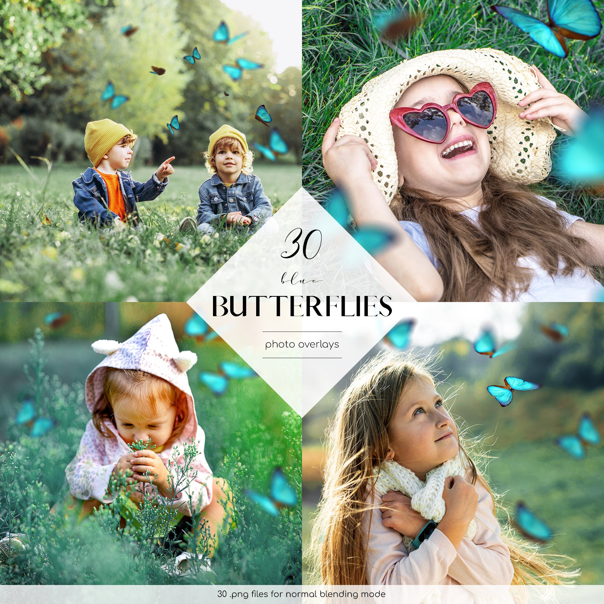 Blue Butterflies Photo Overlays, 30 PNG Files, Flying Butterflies ...