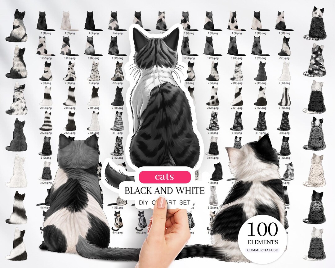 Black and White Cats Clipart: Sitting Cat PNG Graphics (100 Elements ...