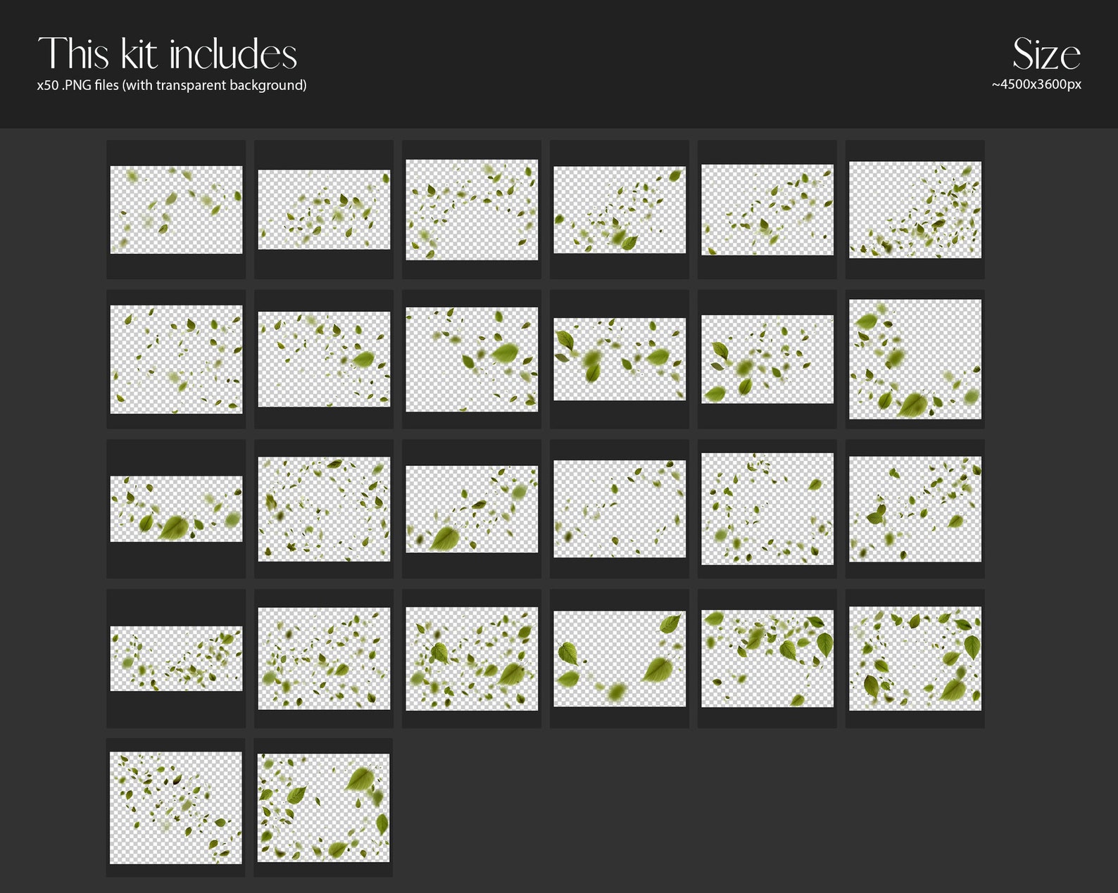 Olive Green Leaves Photo Overlays: 50 PNG Digital Backdrops (commercial ...