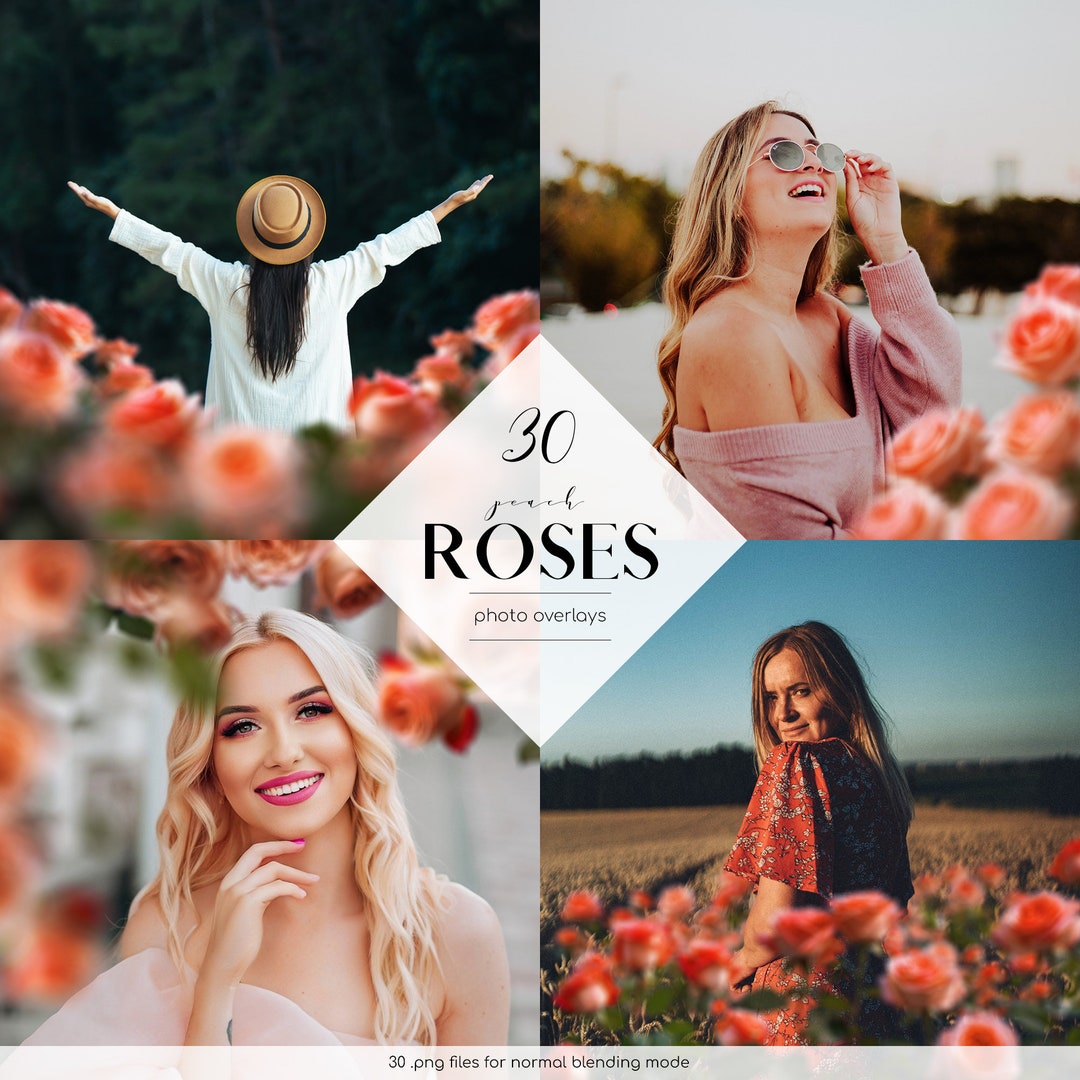 Peach Roses Photo Overlays Frames Clipart, 30 PNG Files, Orange Roses ...