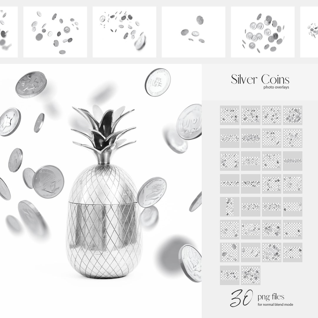 Silver Coins Overlays, 30 PNG Files, Silver Coins Clip Art, Money ...