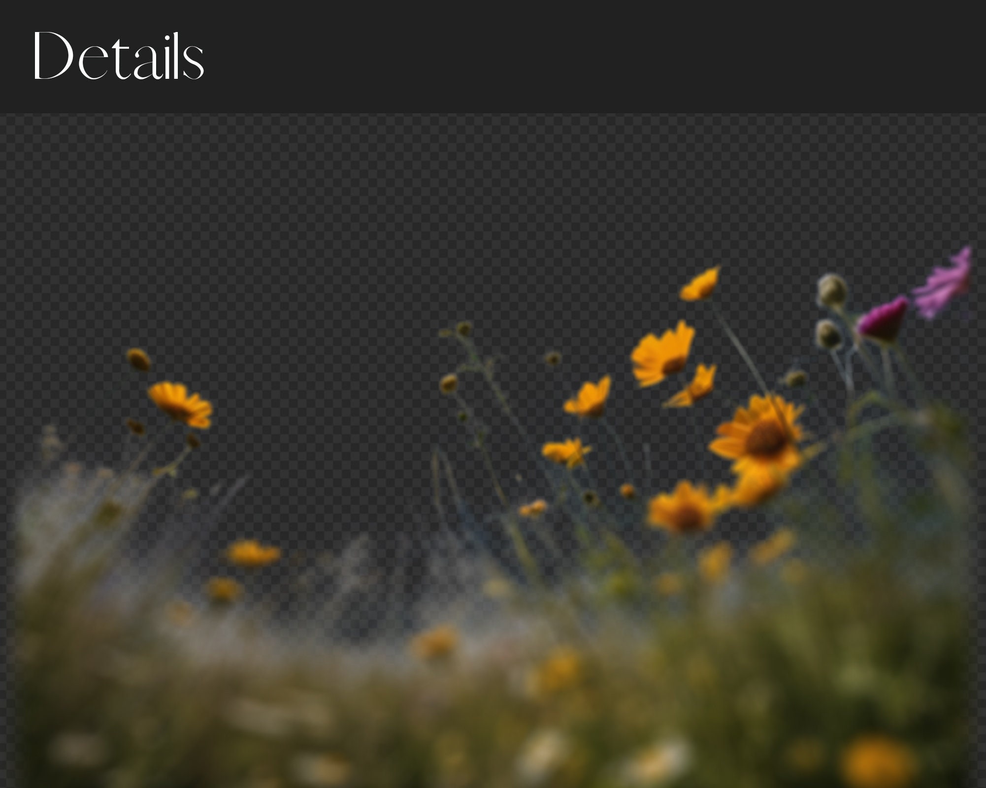 Rainbow Flowers Photo Overlays, Wildflowers Clipart, 40 PNG Files ...
