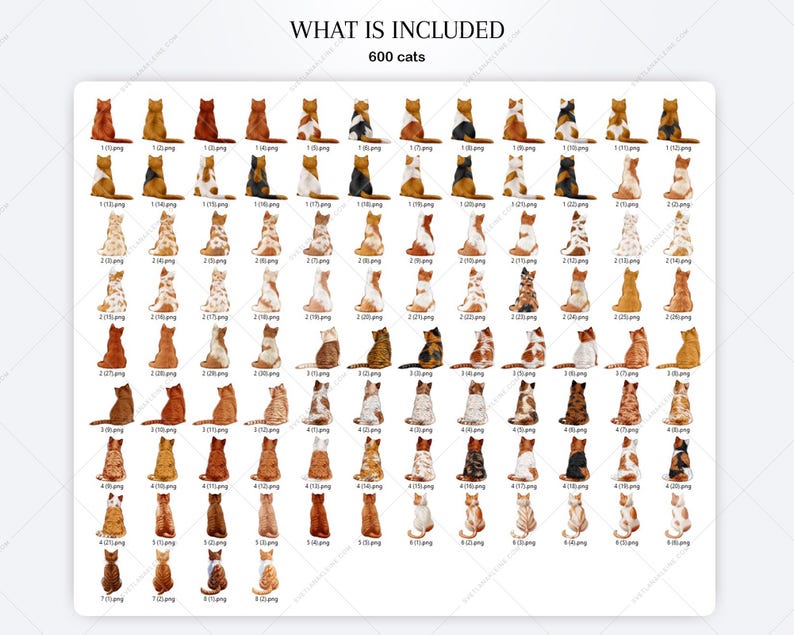 Cats Clipart Bundle: 600 Mix Breed Illustrations (PNG Digital Download ...