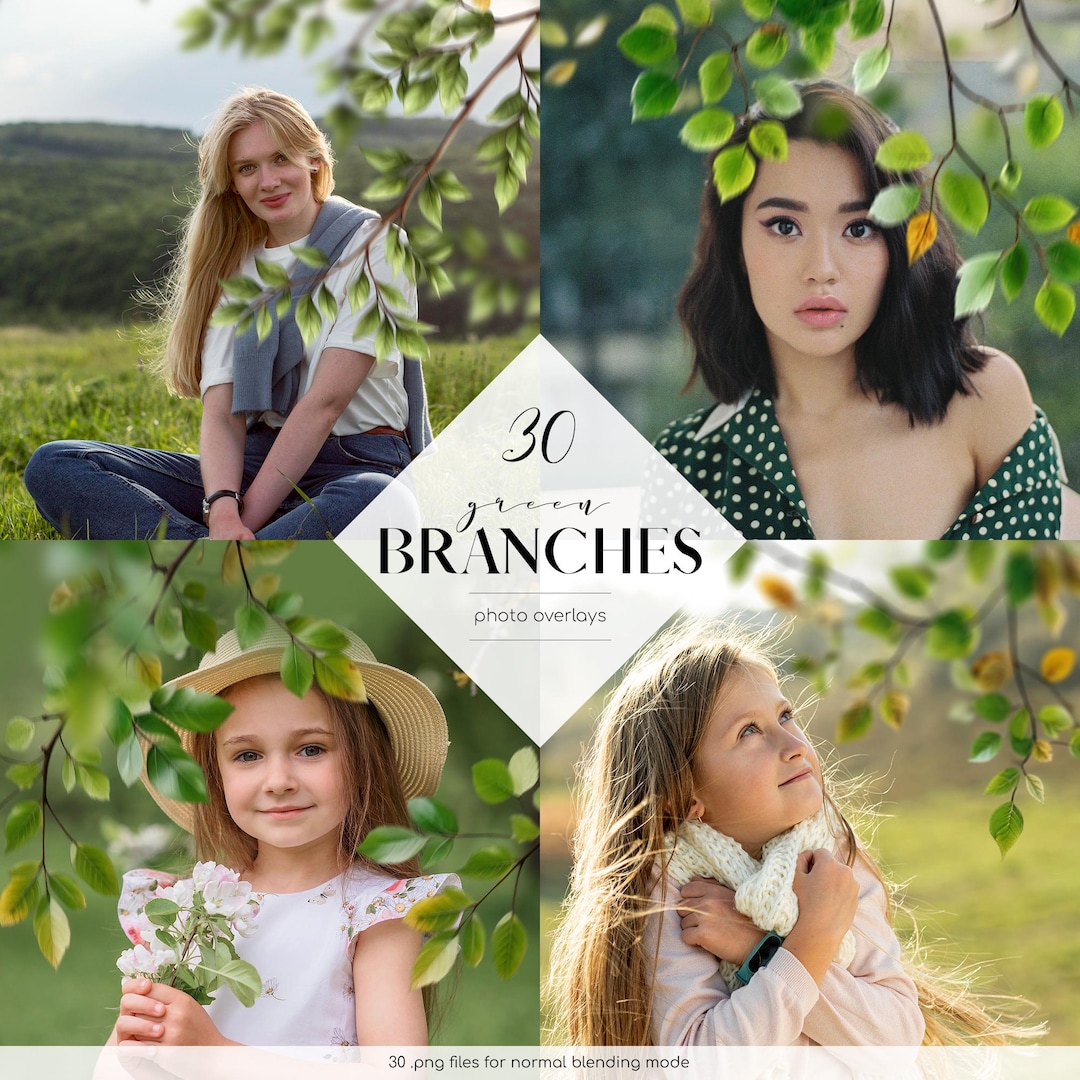 Green Branches Photo Overlays, Green Tree Clipart, Foliage Overlays, 30 ...