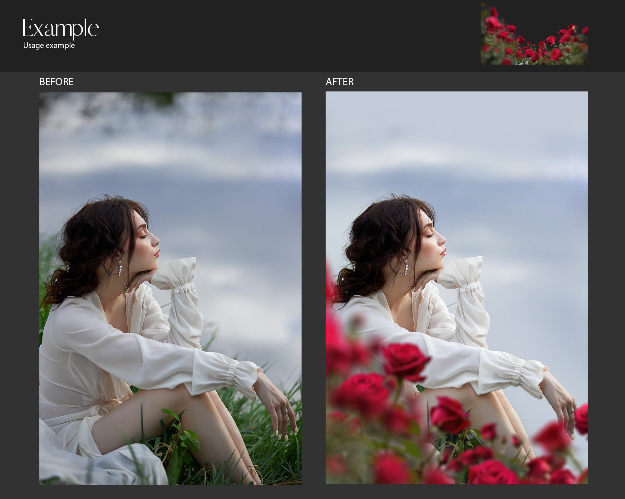 Dark Red Roses Photo Overlays, 25 PNG Files, Red Roses Clipart, Red ...