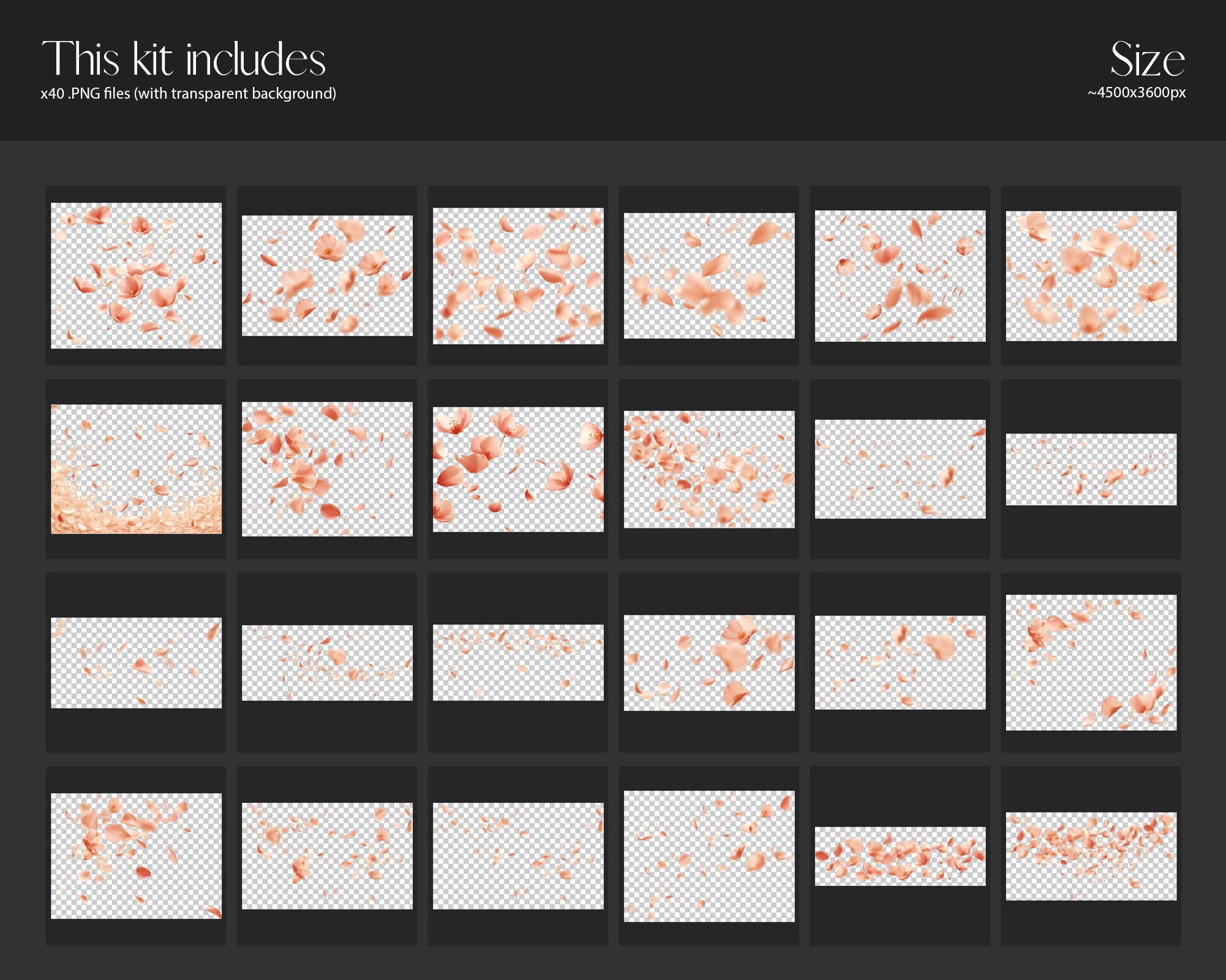 Peach Petals Photo Overlays: 40 PNG Floral Effects (commercial Use) - Etsy