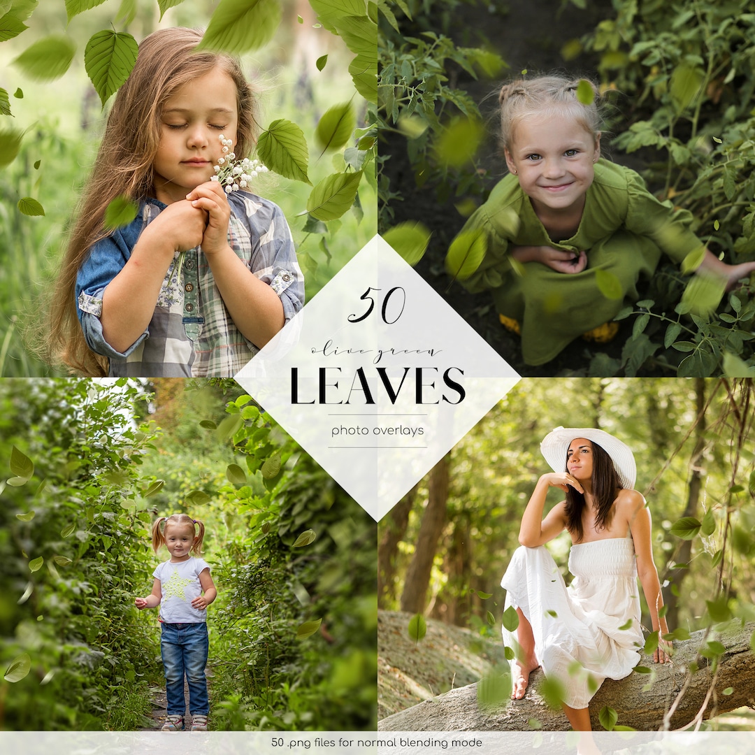 Olive Green Leaves Photo Overlays: 50 PNG Digital Backdrops (commercial ...