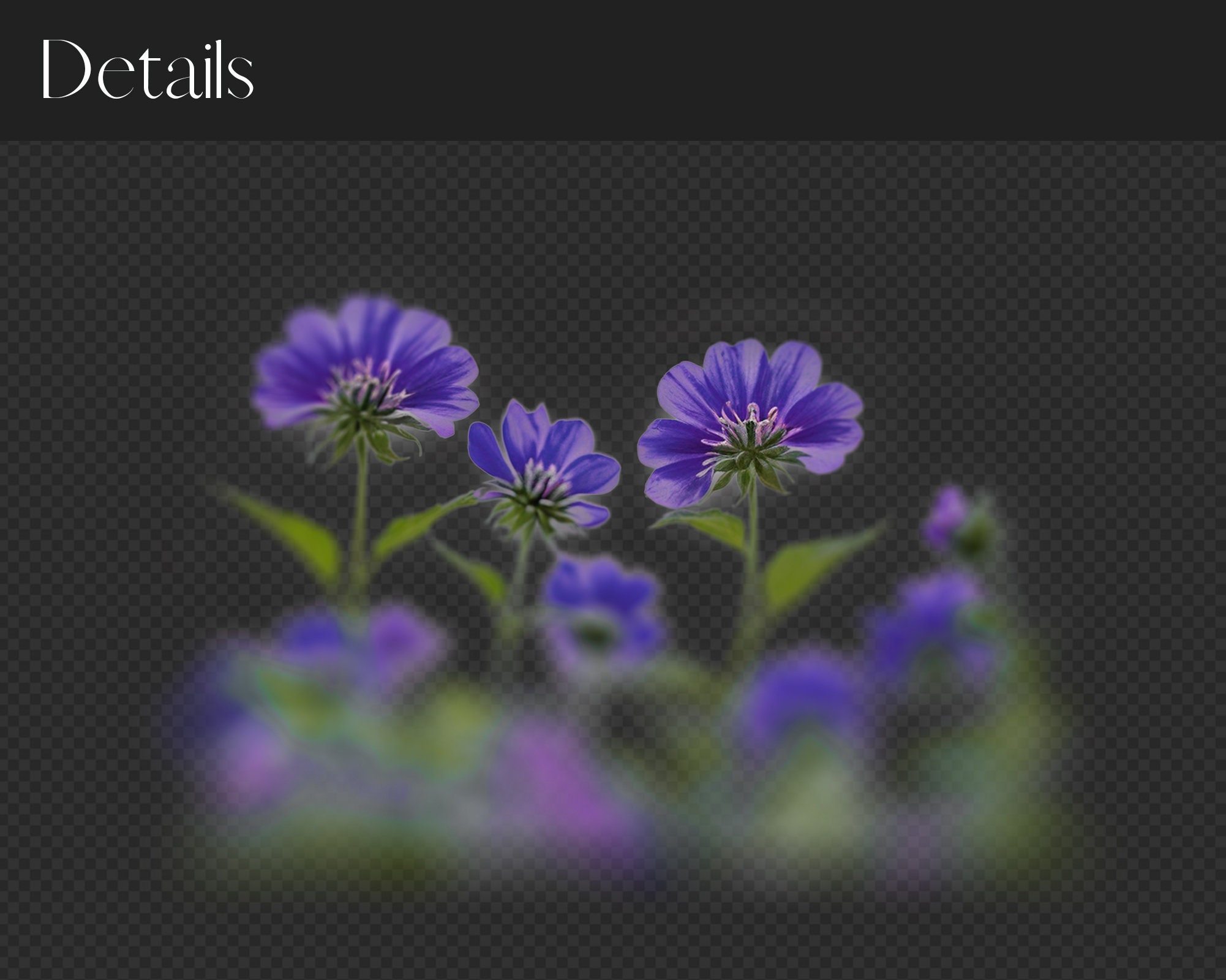 Purple Wild Flowers Photo Overlays, Wildflowers Clipart, 20 PNG Files ...