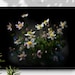 Summer Flowers Photo Overlays: Rainbow Wildflower Clipart (80 PNG Files ...
