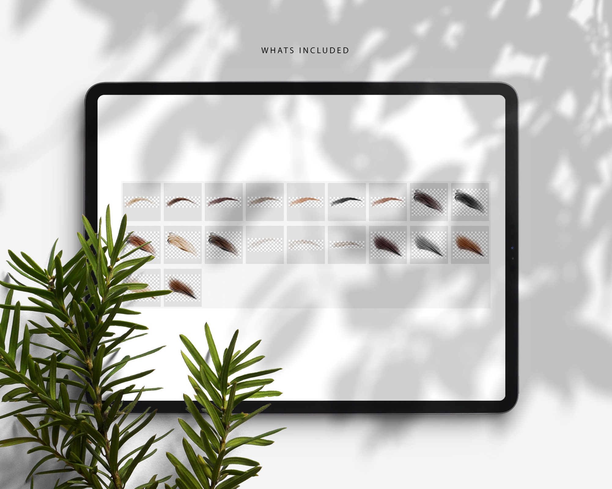 Eyebrows Photo Overlays, Realistic Eyebrows Clip Art PNG, 110 Files ...