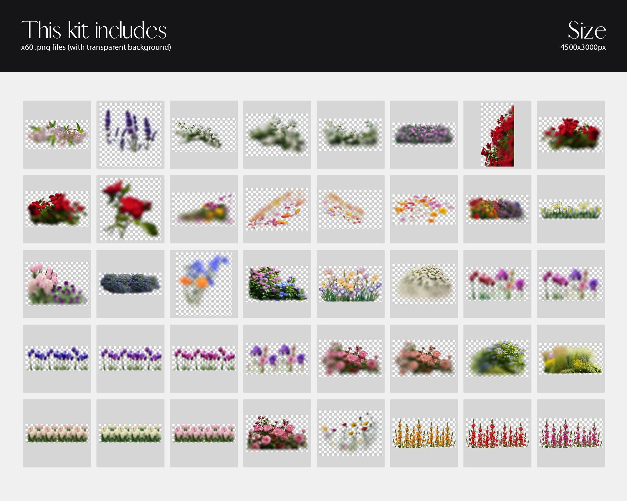 Rainbow Wildflowers Photo Overlays, Wild Flowers Clipart, 60 PNG Files ...