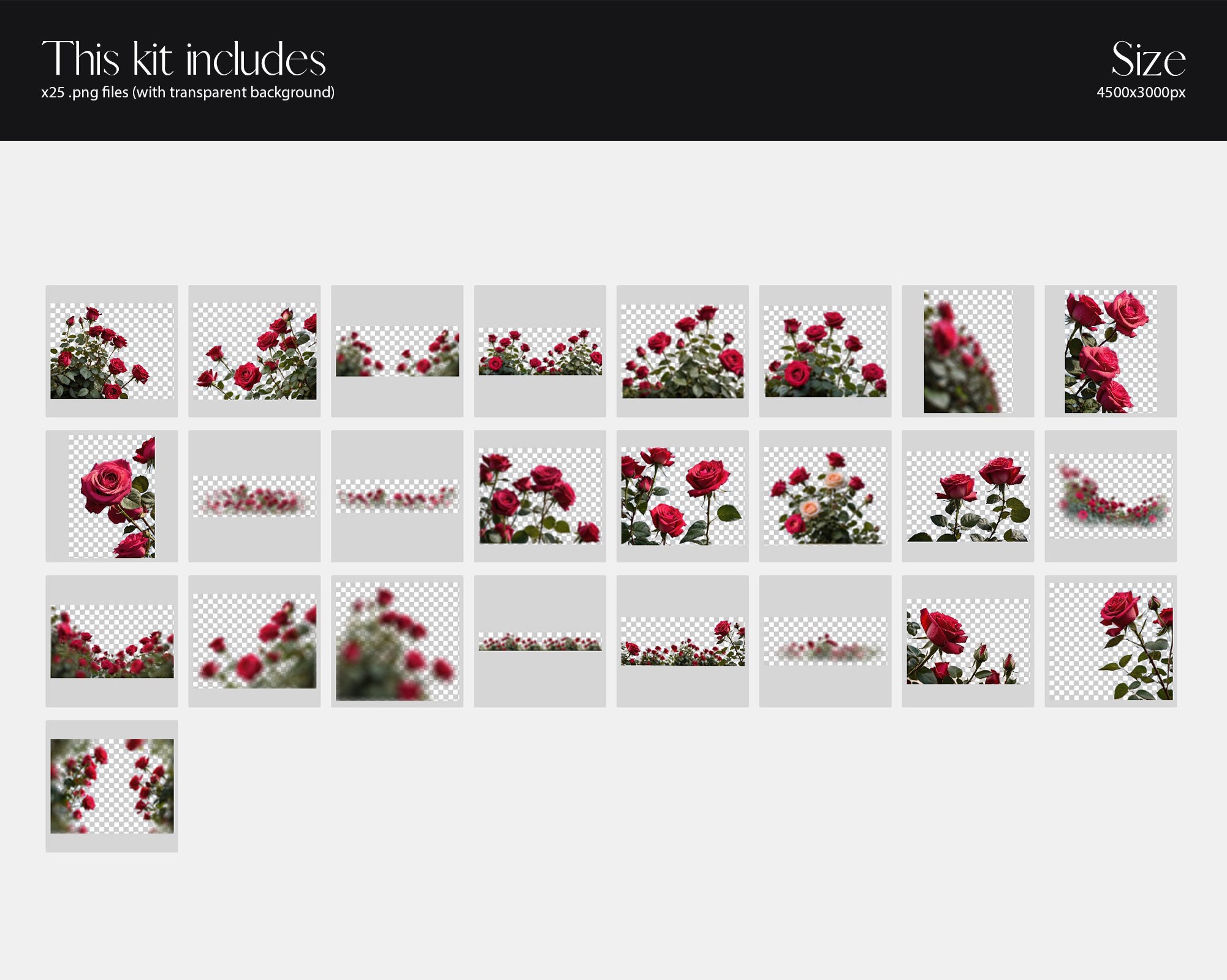 Dark Red Roses Photo Overlays, 25 PNG Files, Red Roses Clipart, Red ...