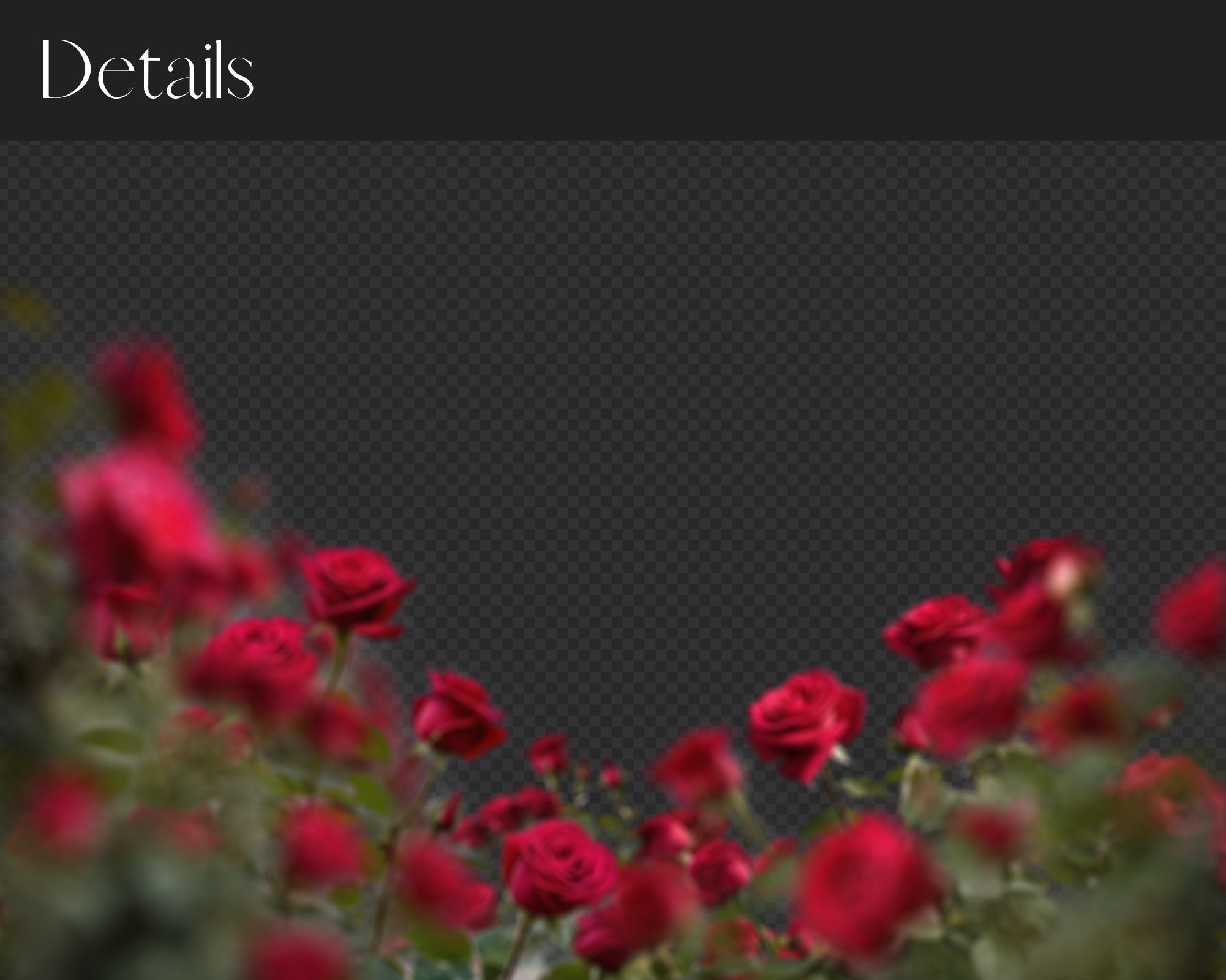 Dark Red Roses Photo Overlays, 25 PNG Files, Red Roses Clipart, Red ...