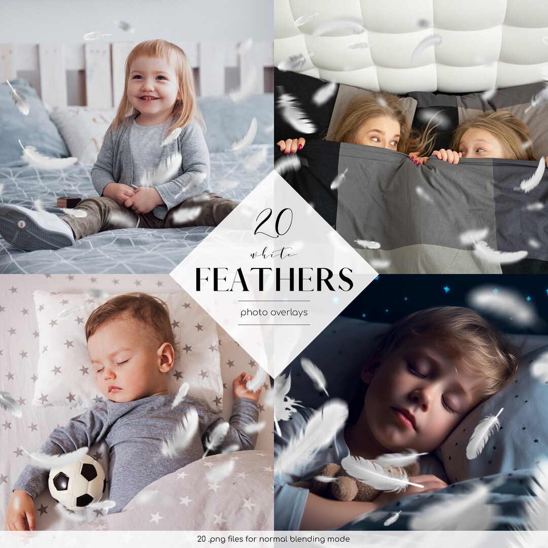 White Feathers Overlays, 20 PNG Files, Falling Feathers Photoshop ...