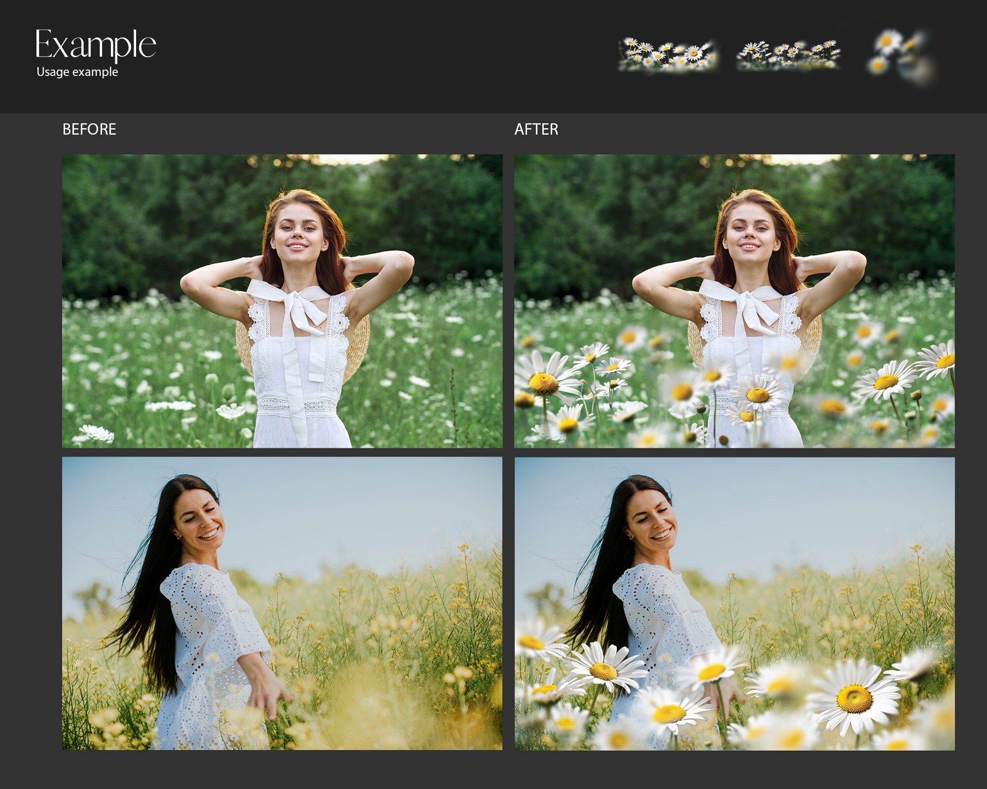 White Daisy Photo Overlays: Wildflower PNG Clipart (30 Files) (digital ...