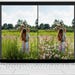 Summer Flowers Photo Overlays: Rainbow Wildflower Clipart (80 PNG Files ...