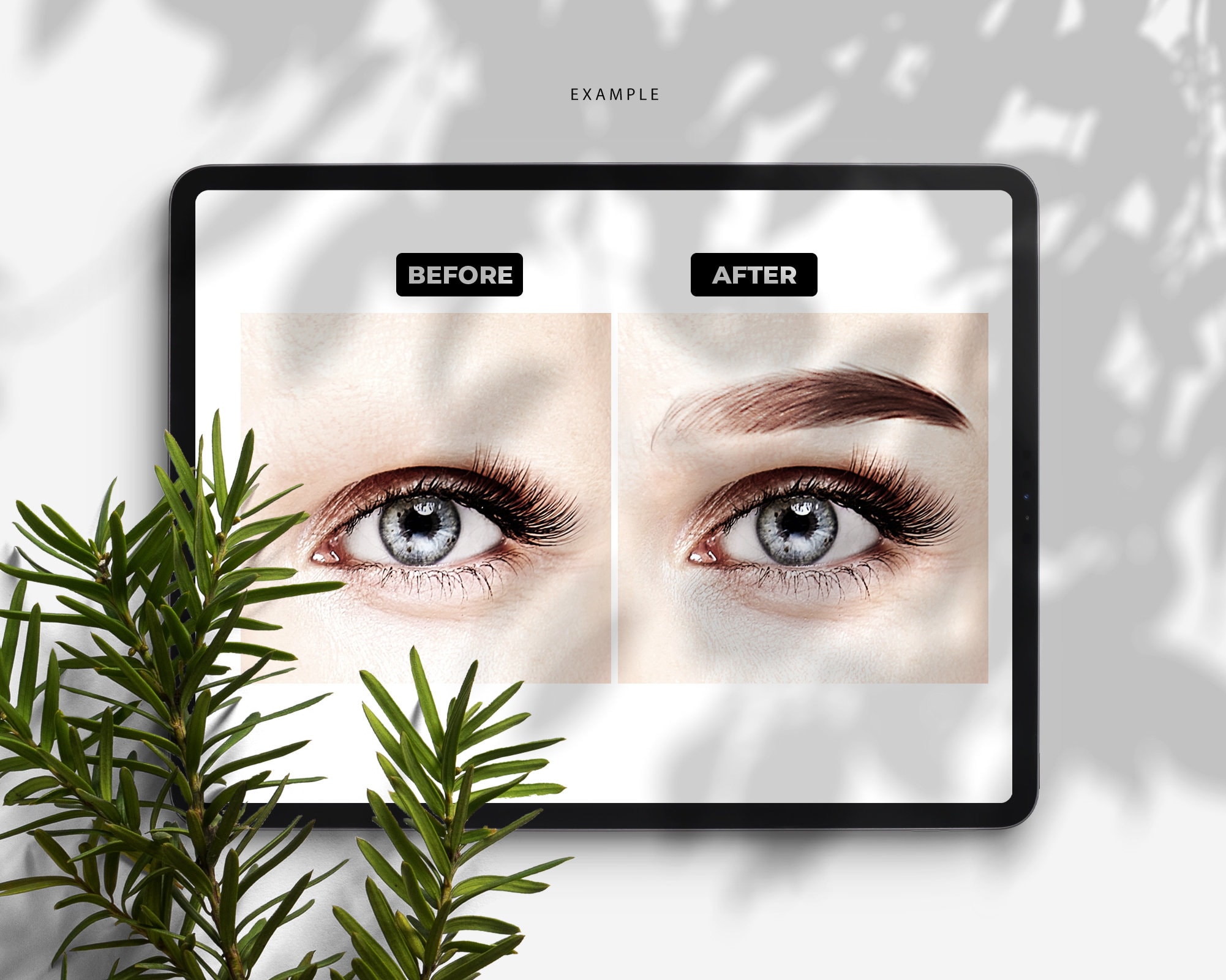 20 Eyebrows Stamps Photoshop Brushes, Realistic Eyebrows .ABR, Face ...