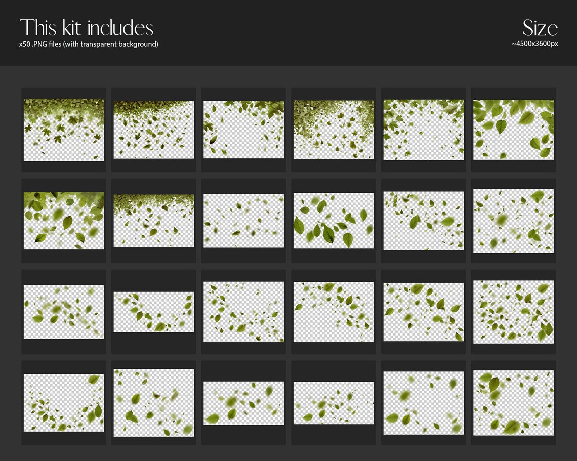Olive Green Leaves Photo Overlays: 50 PNG Digital Backdrops (commercial ...
