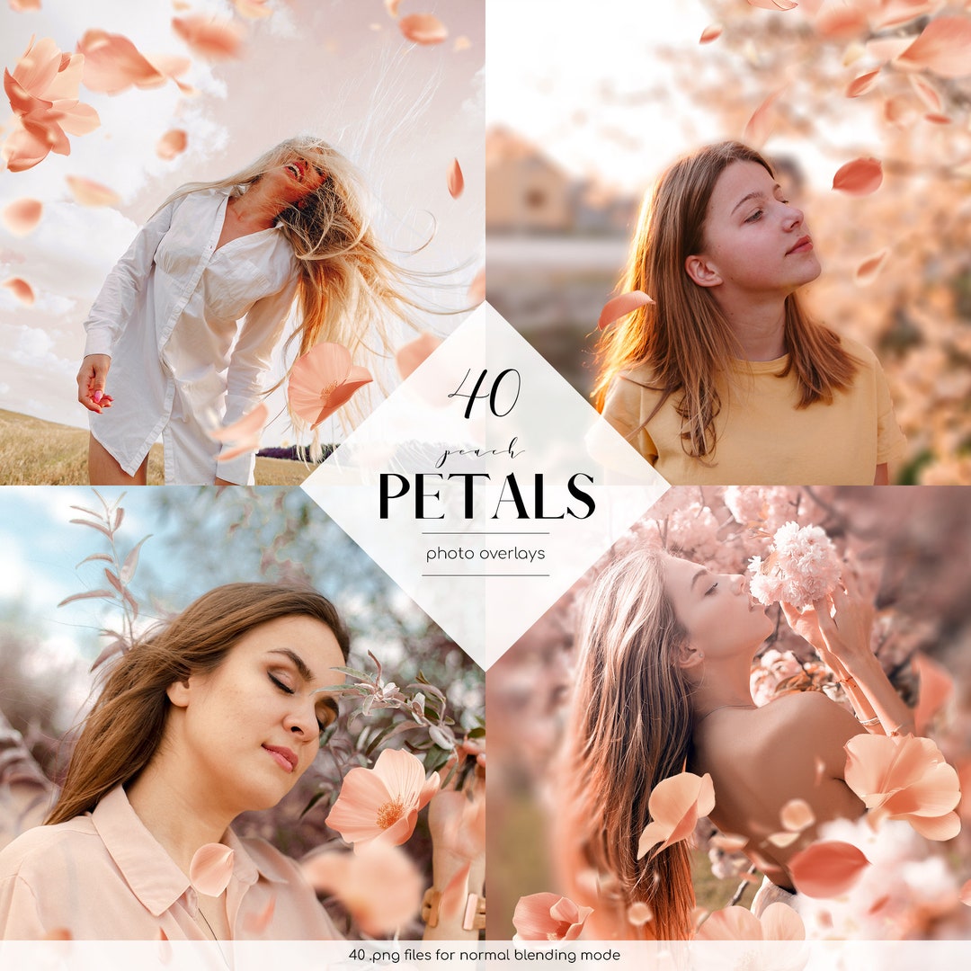 Peach Petals Photo Overlays: 40 PNG Floral Effects (commercial Use) - Etsy