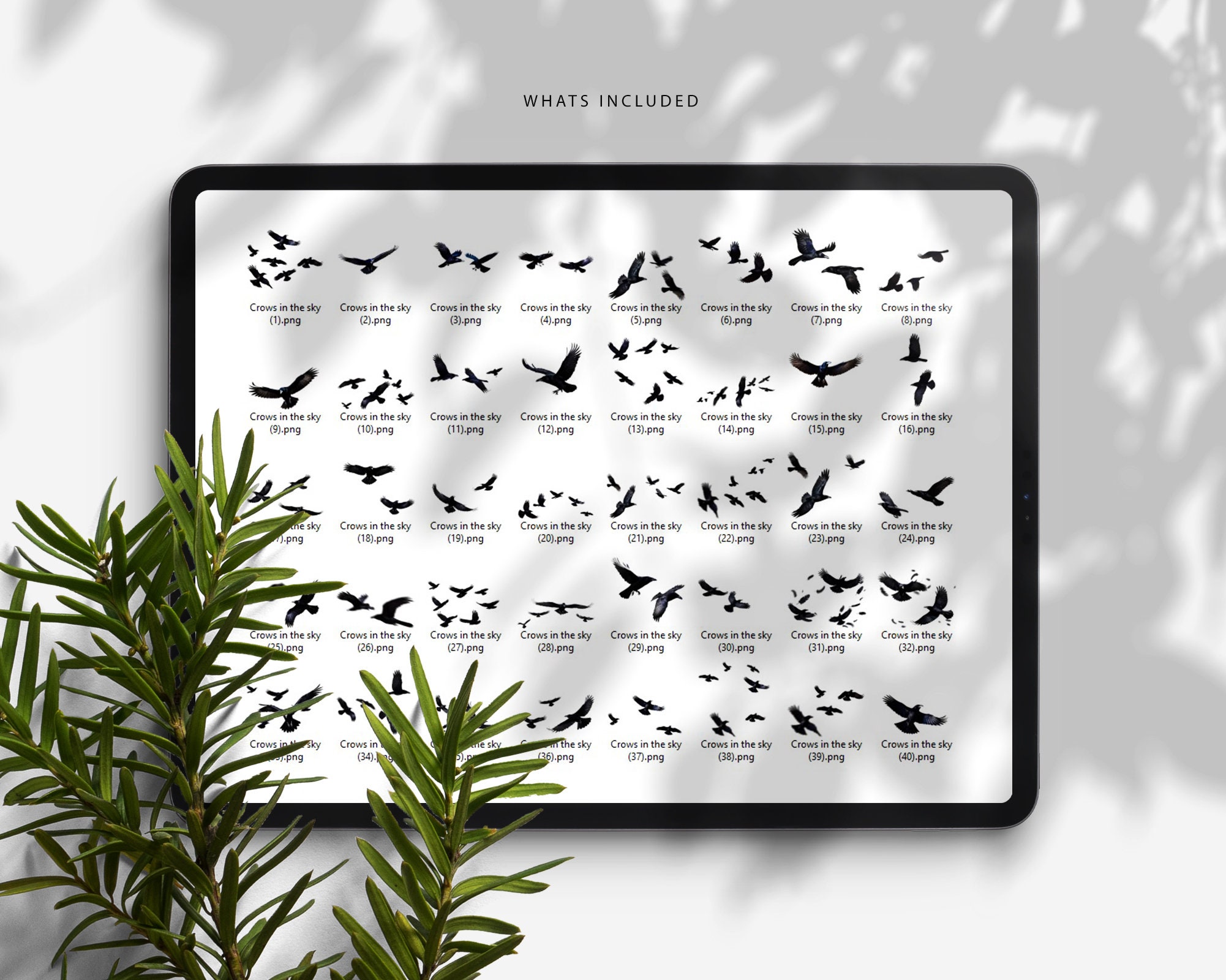 Flying Crows Overlays Clipart, 40 PNG Files, Black Crows Clip Art ...