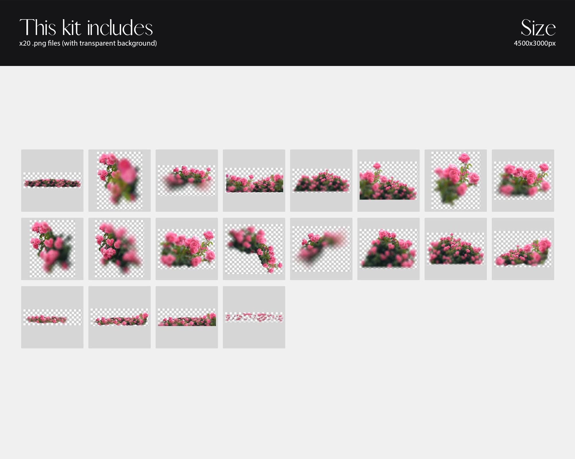 Gently Pink Roses Clipart, Flowers Photo Overlays, 20 PNG Files, Pink ...