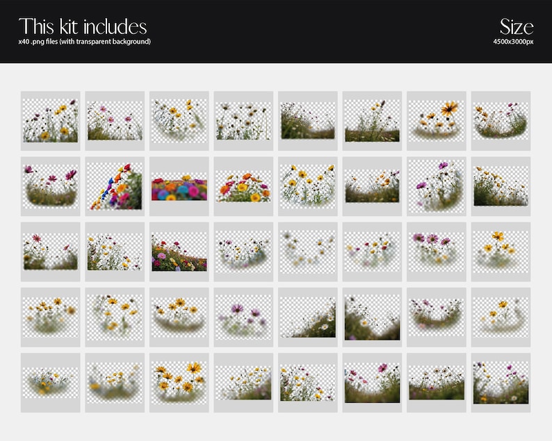 Rainbow Flowers Photo Overlays, Wildflowers Clipart, 40 PNG Files ...